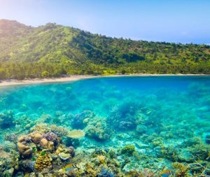 Wisata Alam di Pulau Lombok Memahami Keindahan dan Keunikan Alam - Sewa ...